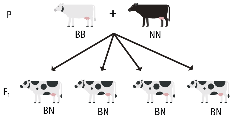 Clase 7 :: Bioactiva